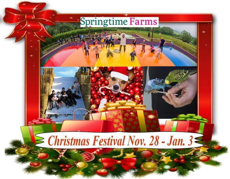 Christmas Fest at Springtime Farms Adventure Park - 239Life - What to ...